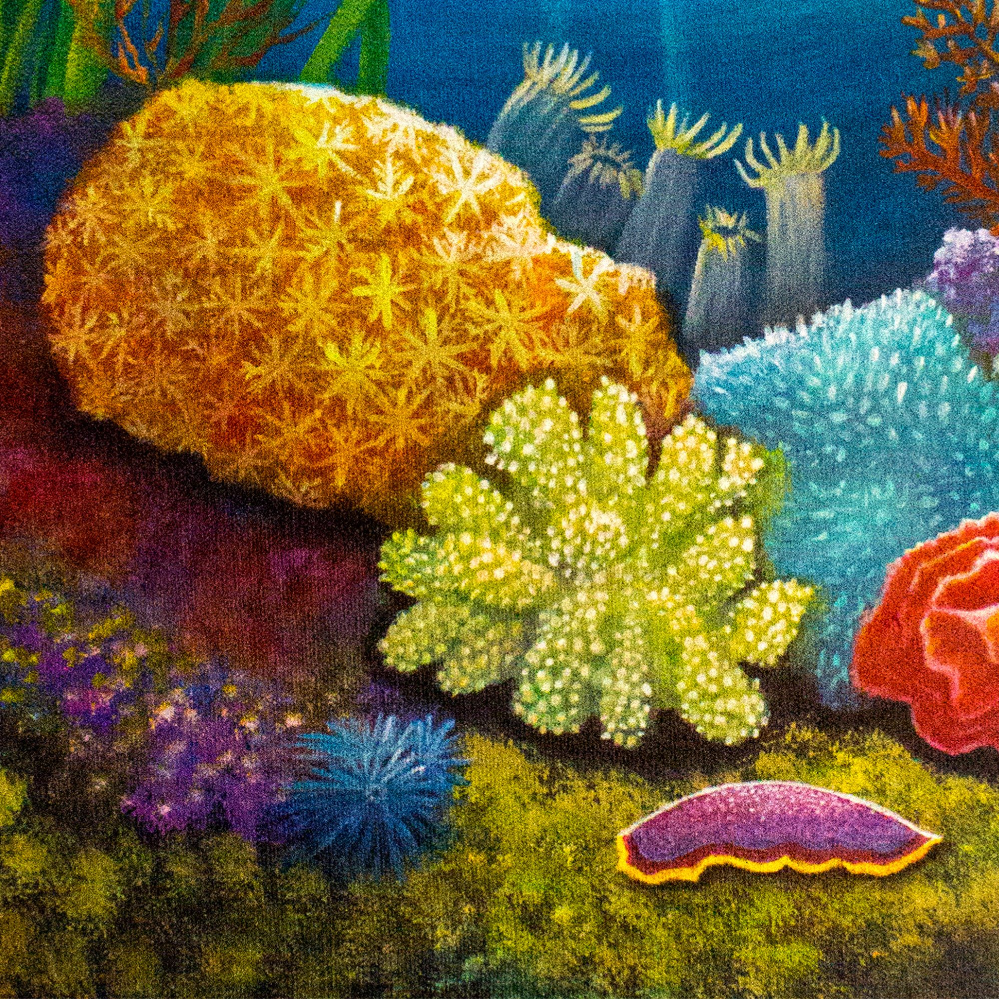 Art Sea Turtle | Two Turtles in Love Art Print | Sea Turtles Art | Sea ...